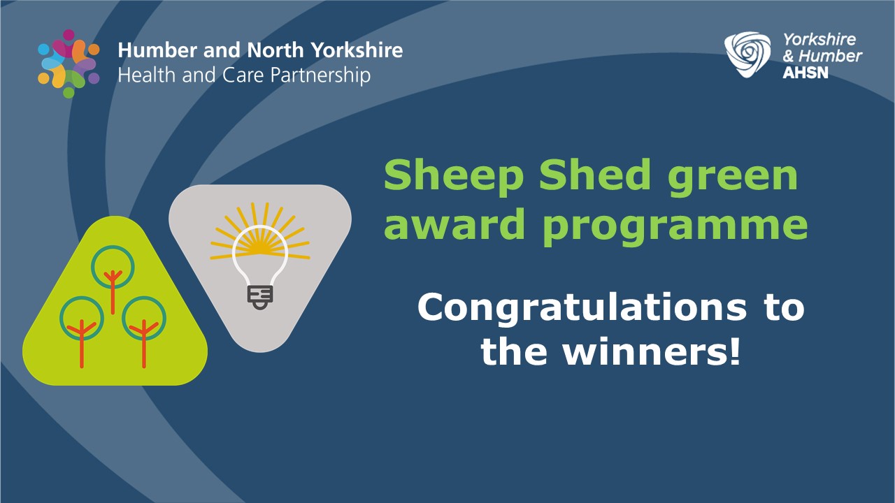 Sheep Shed Green Award winners